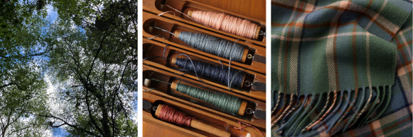 Embracing Heritage: The Timeless Art of Tartan – Araminta Campbell